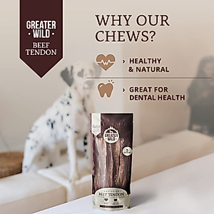 GREATER WILD All Natural Ingredient 9"-12" Assorted Beef Tendon Size, Chews & Treats for Dogs - 5 Piece