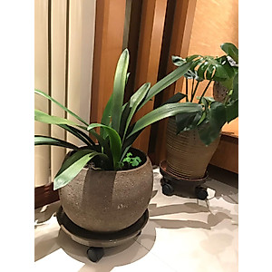 Amkoskr 2 Pack 15.5" Brown Plant Caddy with Easy Moving Caster Wheels Round Movable Planter Dolly Trolley Tray Pallet Outdoor Indoor Tree Flower Stand Planter