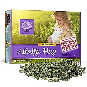 Small Pet Select Alfalfa Hay Pet Food for Young  Rabbits, Guinea Pigs , Chinchillas, Tortoises and Other Small Animals, Easy to Store Box, 10 LB