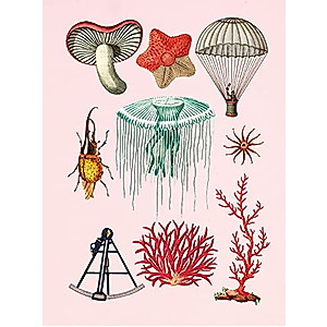 The Antiquarian Sticker Book: Over 1,000 Exquisite Victorian Stickers (The Antiquarian Sticker Book Series)