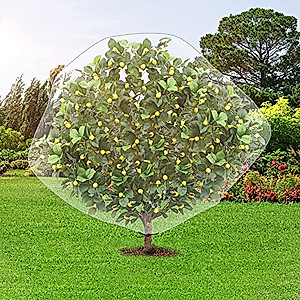 PURPLE STAR 1N 6.5 x 8.2 Feet Insect Bird Barrier Netting Mesh with Drawstring -Garden Bug Netting Plant Cover for Protect Plant Fruit Flower from Insect Bird