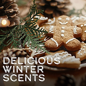 Christmas Candles Scented, Gingerbread Cookie Candle, Christmas Scented Candles, Winter Candle, Holiday Candle, Candle Christmas, Xmas Candles, Holiday Scented Candles, Sweater Weather Candle - 9oz