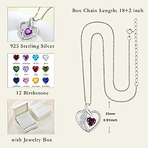 Lwsary Butterfly Necklace 925 Sterling Silver Love Heart Necklace Amethyst Pendant February Birthstone Jewelry for Women