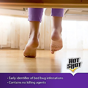 Hot Shot Bed Bug Glue Trap 4 ct