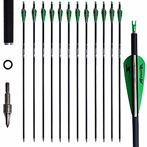 31inch Carbon Arrow Archery Targeting Practice Hunting Arrows for Compound & Recurve Bow with Removable Tips(Pack of 12) (Green White)