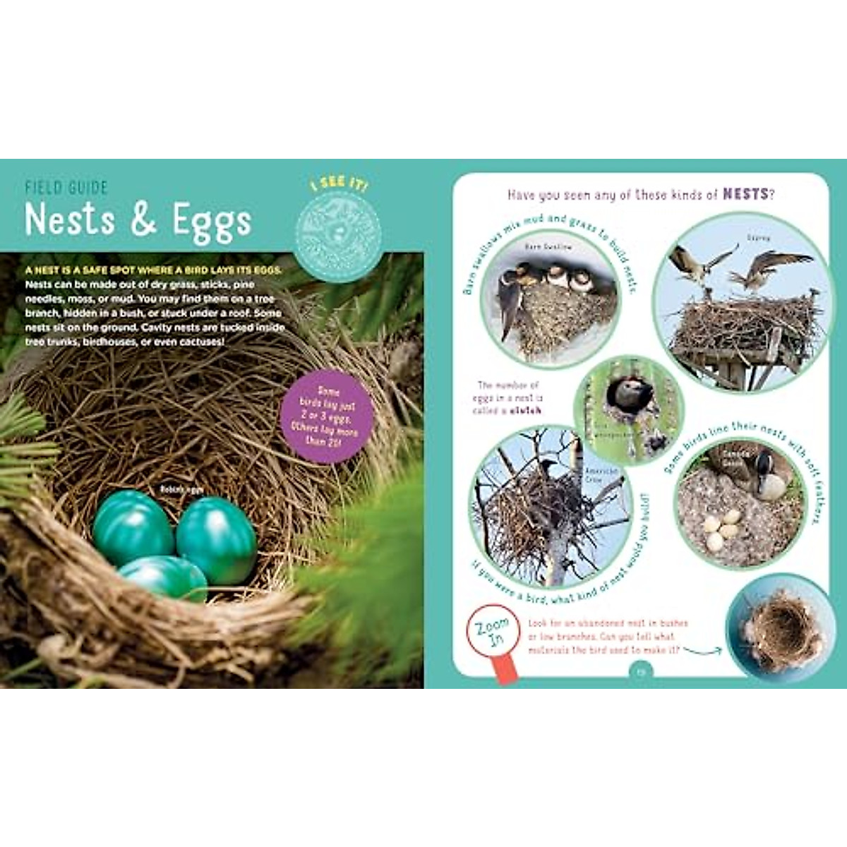 Backpack Explorer: Bird Watch: What Will You Find?