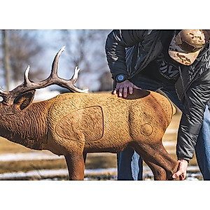 Rinehart 1/3 Scale Woodland Elk Target