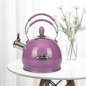 Whistling Tea Kettle Stainless Steel Teapot, Teakettle for Stovetop Induction Stove Top, Fast Boiling Heat Water Tea Pot 2.6 Quart