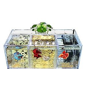 Milscat Betta Fish Tank Acrylic Material Mini Desktop Aquarium Goldfish Mini Fish Tank Sick Fish Isolation Room（Three Lattice Space）