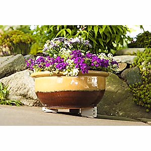 Bosmere Pot Toes, Plant Pot Risers for Indoor and Outdoor, Prevent Stains and Rotting on Wood, Cement, and Tile - Terra Cotta (Pack of 12)