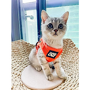 Travel Cat Harness and Leash Set - Adjustable Comfort Fit Mesh Vest Harnesses with Reflective Strap - Snug Fit Harness for Cats, Kitten for Outdoor Walking, Orange, Small (Chest 13-15.5 inch)