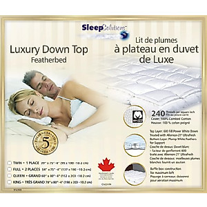 Westex Luxury 4-inch Thick Down-Top Feather Bed, King