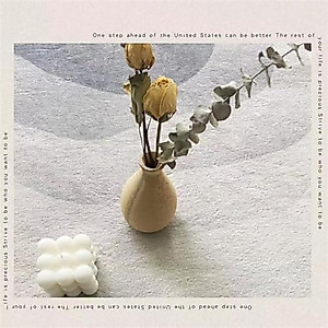 Irregular Round Area Rug, Soft Non Slip Non-Shedding Mat, Plush Oval Shaped Printed Modern Abstract Decor Carpet, Luxury Fluffy Large Washable Rug for Living Room Bedroom Dining Room