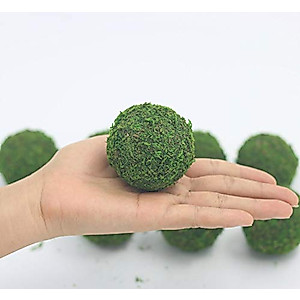 Nice purchase Handmade Natural Green Plant Moss Balls Decorative for Home Party Display Decor Props (2 in)
