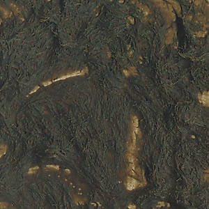 Vallejo Mud & Grass Effect Model Paint Kit