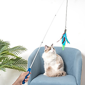 Cat Toys Feathers Wand, Interactive Cat Toy Kitten Toys 2 Retractable Cat Wand Toy and 7 Feather Teaser Refills with bells, Telescopic Cat Fishing Pole Toy for Indoor Bored Cats Gifts Exercise Pack