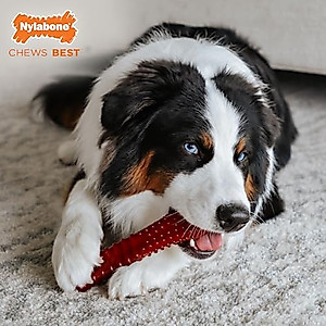 Nylabone Power Chew Basted Blast Dual Flavored Dog Chew Toys for Aggressive Chewers - Durable Dog Bones with 2 Layers of Flavor - Bacon and Steak Flavor, X-Large/Souper (1 Count)