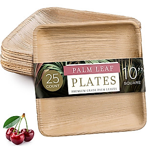 brheez Bamboo Plates made from Palm Leaf 25 Party Plates 10 Inch Eco Friendly Compostable & Biodegradable – Disposable Plates Heavy Duty and More Environmentally Friendly than Paper Plates