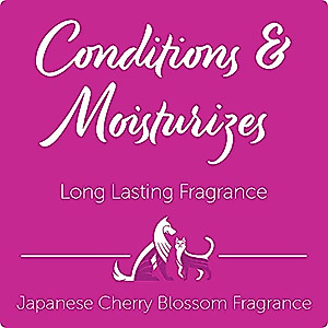 Nootie Daily Spritz Pet Conditioning Spray - Dog Conditioner for Sensitive Skin - No Parabens, Sulfates, Harsh Chemicals or Dyes - Revitalizes Dry Skin & Coat, Japanese Cherry Blossom, 16 oz(473 ml)