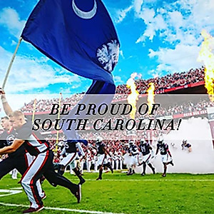 FLAGBURG South Carolina Flag 3x5 FT Outside, SC State Flags Embroidered Heavy Duty Nylon, Sewn Stripes, Canvas Header & Brass Grommets, High-Grade Outdoor Palmetto Flag for All-Weather