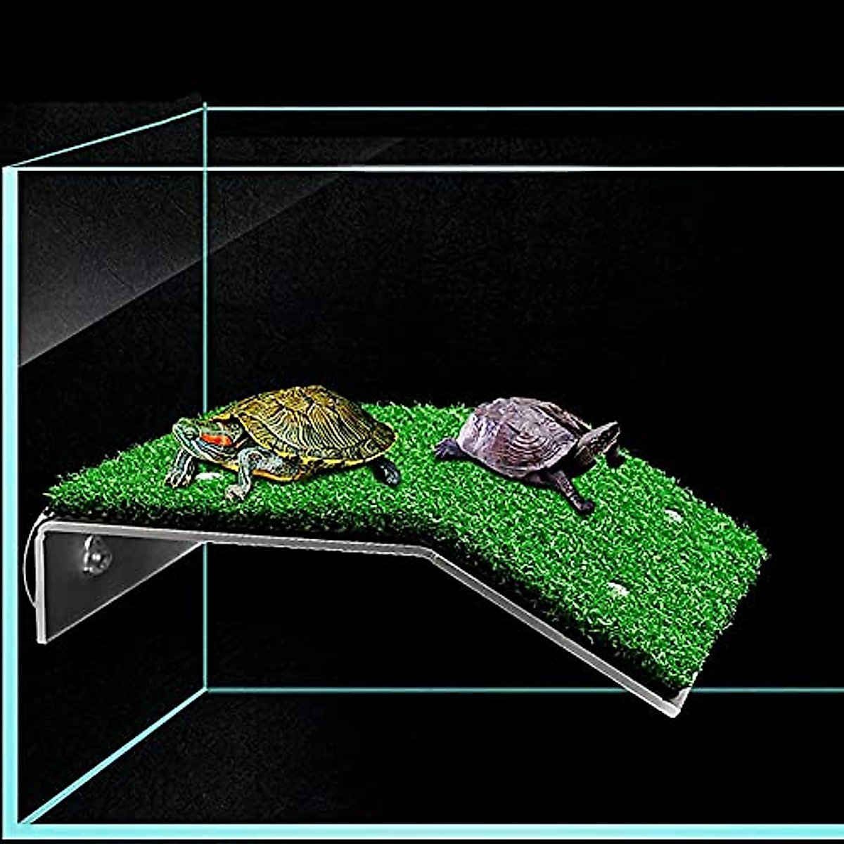 HIERYAN Turtle Basking Platform, Tortoise Ramp Reptile Tank Ladder Resting Terrace, Tortoise Ramp Reptile Ladder Resting Terrace Fish Tank Aquarium Turtle Dock Floating Décor
