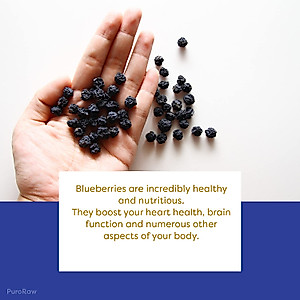 Dried Blueberries No Sugar Added, 2 lbs. Blue Berries Fruit, Dehydrated Blueberries Fresh Dried Blueberries Bulk, Blueberry Raisins. All Natural, Non-GMO, Batch Tested, 2 pounds, By PuroRaw.