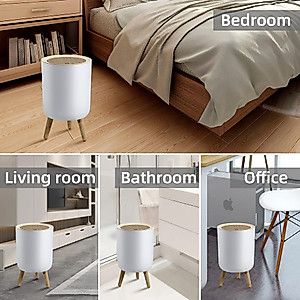 WDPUCHU Bathroom Trash Can with Lid,1.8 Gallon Modern Office Trash Can for Near Desk Bedroom Garbage Can Waste Basket with Push Top,Nordic Small Trash Bin for Living Room,Nursery,Dog Proof Trash Can