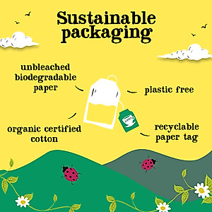 Clipper Tea, Lemon & Ginger, Organic Tea with Ginger Root and Lemongrass, Plant Based Herbal Tea, Caffeine-Free British Tea, 1 Pack, 20 Unbleached Tea Bags