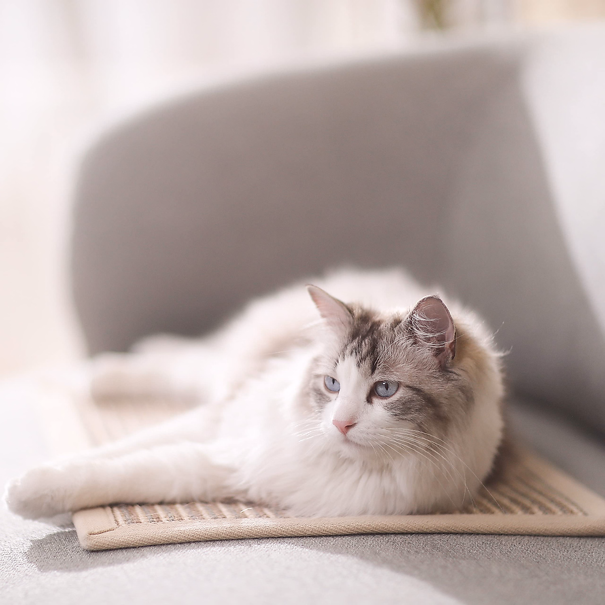 FUKUMARU Cat Scratcher Mat, 23.6 X 15.7 Inch Natural Sisal Cat Scratch Mats, Horizontal Cat Floor Scratching Pad Rug, Protect Carpets and Sofas (Cream - Thicken)