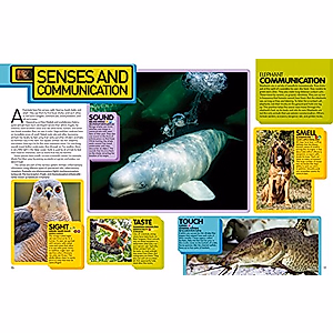 National Geographic Animal Encyclopedia: 2,500 Animals with Photos, Maps, and More!