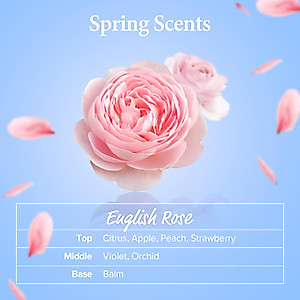 Kundal Honey&Macadamia Hydro-Intensive Protein Premium Nature Hair Shampoo [English Rose] Sulfate Free, Macadamia Oil for Damaged Hiar care, Deep Clean & Hydration 600ml (300ml x2ea) 20.28Fl oz