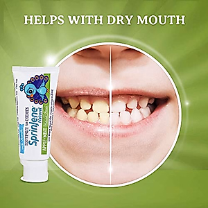 SprinJene Kids Toothpaste with Fluoride for Cavity Protection & Fresh Breath - Natural SLS Free Toddler Toothpaste for Childrens 2 Years & Up/Preservative & Toxic Free (1 Pack) Apple Mint