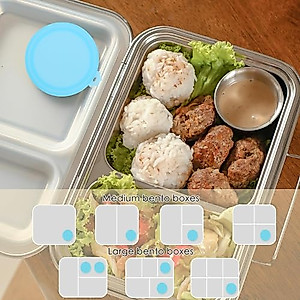 Moretoes 9pcs Salad Dressing Container To Go, Sauce Cups, 1.6oz Mini Condiment Containers with Lids for Bento Boxes and On-the-Go Meals（Rainbow - Colored