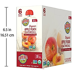 Earth's Best Organic Stage 2 Baby Food, Apple Peach and Oatmeal, 4.2 oz. Pouch (Pack of 12)