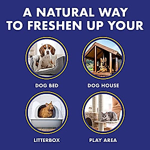 Gonzo Natural Magic Air Activated Charcoal - 2 Pack - for Litter Boxes Cages and Pet Beds 14 Ounce