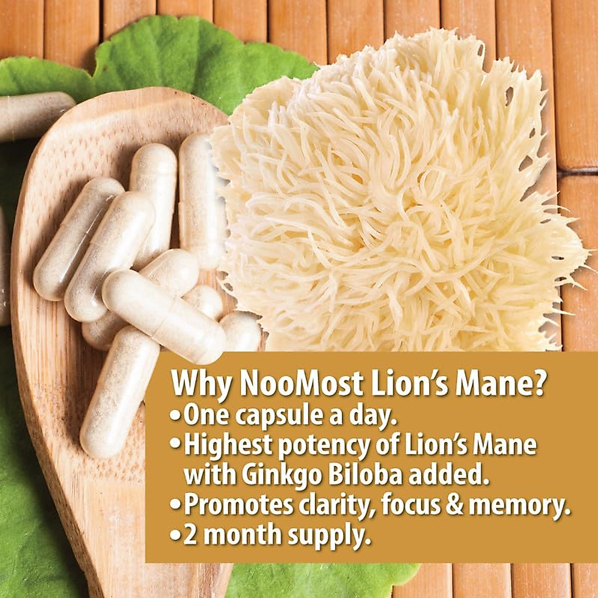 NooMost Organic Lions Mane Supplement Capsules 5400mg, Ginkgo Biloba 120mg – Vegan Lion Mane Mushroom Supplement for Cognitive Function, Mental Clarity, Focus & Memory – 2 Months