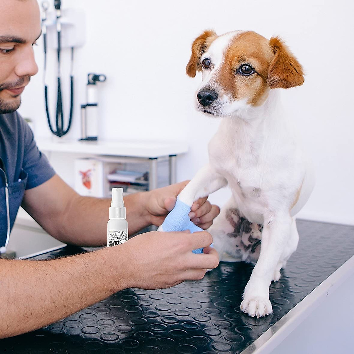 NEXDERMA Pet Wound Care with Colloidal Silver Medicated Itch Relief Hot Spot Spray for Dogs & Cats | First Aid Skin, Vet Formulated, All Natural Pain Free Formula - 25ml