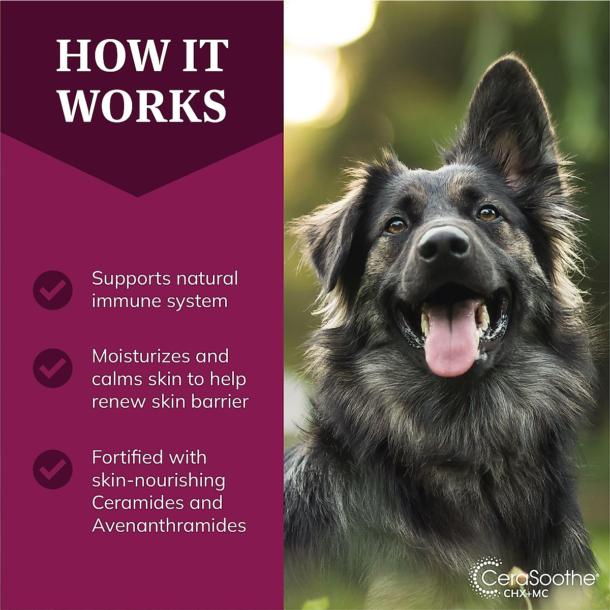 CeraSoothe® CHX+MC Antiseptic Shampoo 8oz