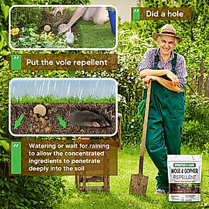 Pufado Mole Repellent, Gopher Repellent Outdoor, Vole Repellent, Mole Deterrent for Yard, Mole Repellant for Lawn, Mole Control, Keep Mole and Vole Out of Your Garden, Safe Around Pet & Plant-8 Packs