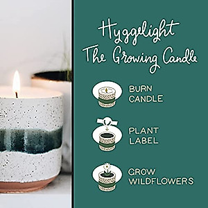 Hyggelight | The Growing Candle. Tired of Tossing Empty Candles? Try Our Less-Waste Solution. 8.5 oz, 45-50 hr Burn Time, 100% Soy Wax, Cotton Wick, Handmade Reusable Pot (Sandalwood + Vanilla, Edith)