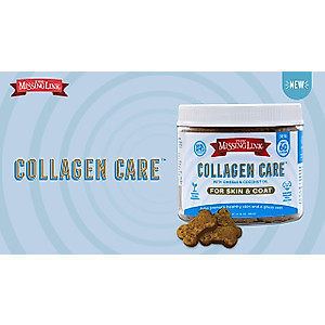 The Missing Link Collagen Care Skin & Coat Soft Chews 60ct - Daily Hair Growth, Healthy Skin & Strong Nails Support for Dogs