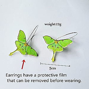 Insect Moth Butterfly Earrings Acrylic Green Cute Wing Statement Fashion Earrings for Women Jewelry
