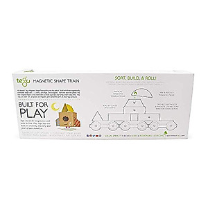 9 Piece Tegu Magnetic Shape Train Building Block Set, Rainbow