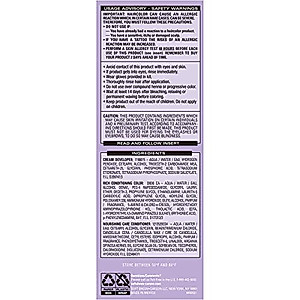 SoftSheen-Carson Dark and Lovely Fade Resist Rich Conditioning Hair Color, Permanent Hair Color, Up To 100 percent Gray Coverage, Brilliant Shine with Argan Oil and Vitamin E, Berry Burgundy