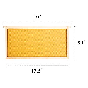 MayBee Hives-Deep or Brood Size Beehive Frames and Foundations,10 Pack Honey Bee Frames with 100% Beeswax Coated Food Grade Foundation Sheets, 9-1/8-Inch(Yellow)