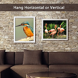 VCK 16x20 Poster Frame in White with Polished Plexiglass Set of 5 Horizontal and Vertical Formats with Included Hanging Hardware