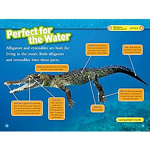 Alligators and Crocodiles (National Geographic Kids Readers)