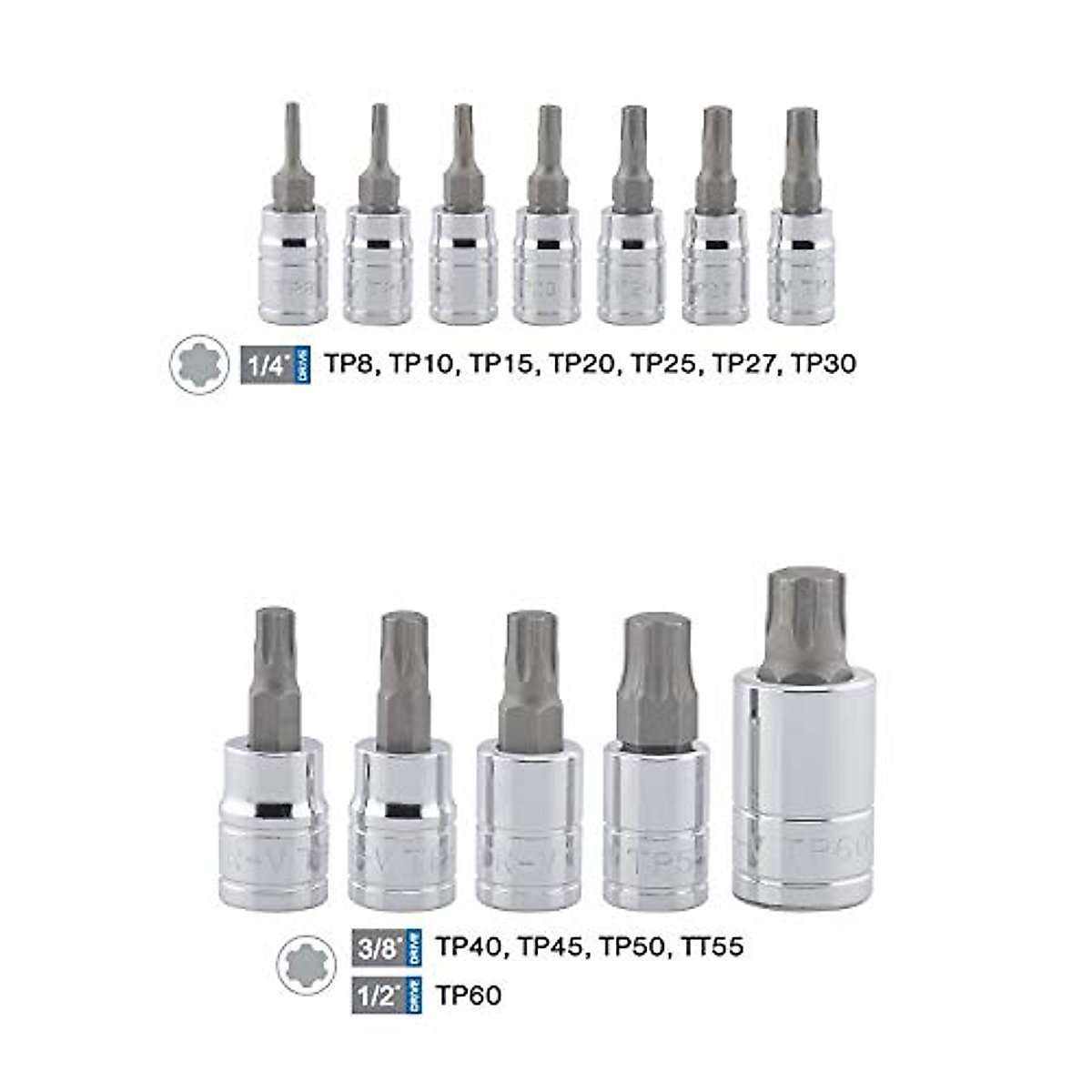 Neiko 10086A 6 Point Torx Plus Bit Socket Set, 1/4-Inch, 3/8-Inch and 1/2-Inch Drive, TP8 - TP60, 12-Piece