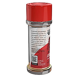 Fruit Fly Trap - Fly Devil - for Indoor Fruit Fly Use - Non-Toxic (2-Pack) Traps Fruit Flies - Fruit Fly Killer