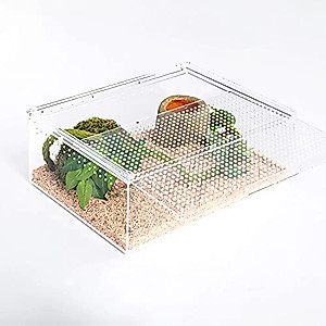 REPTI ZOO Magnetic Acrylic Enclosure, 16x12x6 Inch 5 Gallon Reptile Breeding Box Habitat Terrariums Cage for Tarantula Scorpion Sling Isopods Lizards Roach Invertebrates Spider Snake